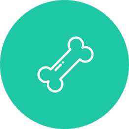 OMI PEMF Full Mat - Home Rehab Equipment