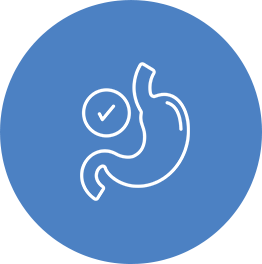 OMI PEMF Full Mat - Home Rehab Equipment