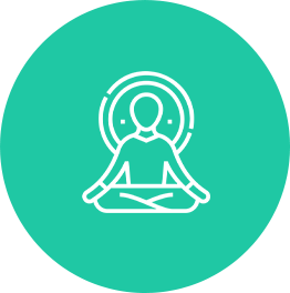 OMI PEMF Full Mat - Home Rehab Equipment