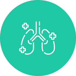 OMI PEMF Full Mat - Home Rehab Equipment