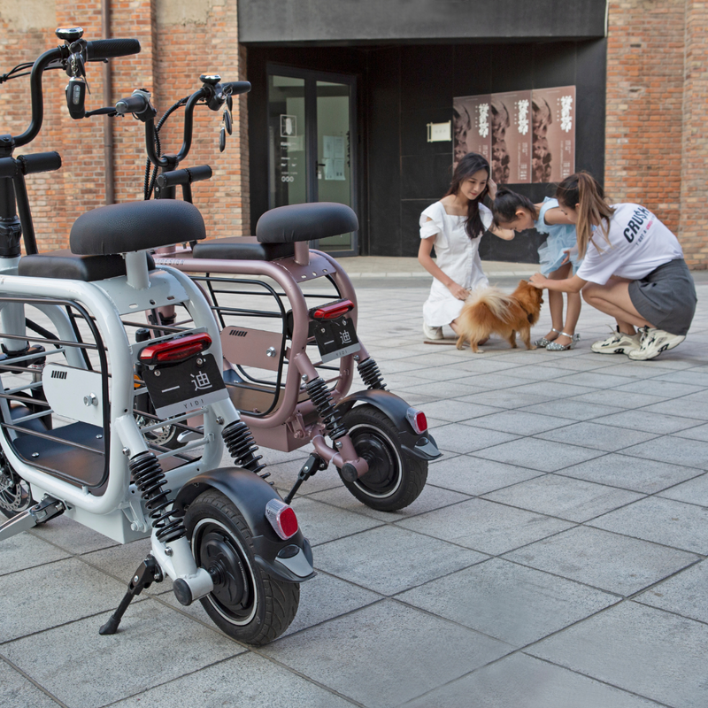 Mopet Two Wheel Pet Carrier Mobility Scooter - Home Rehab Equipment