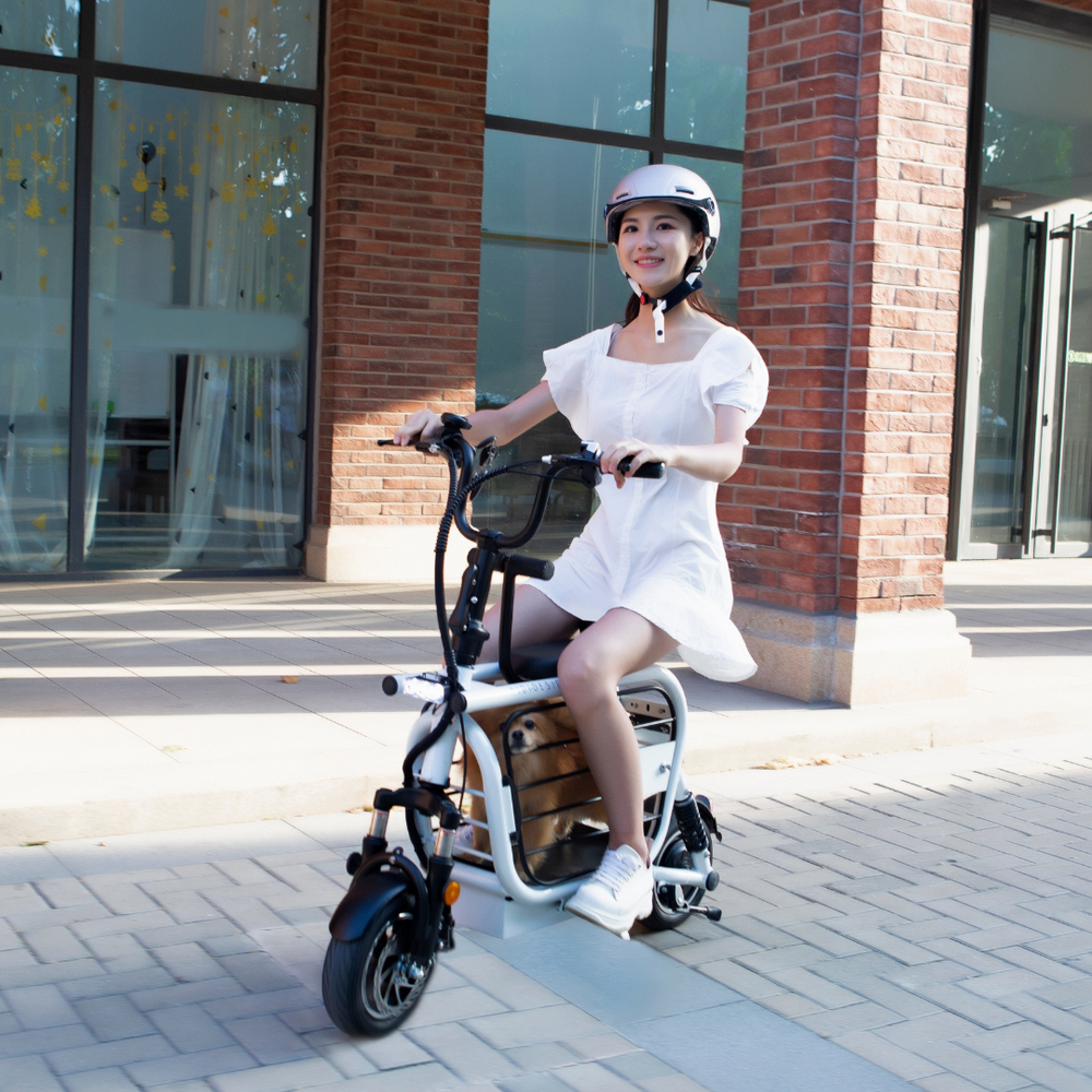 Mopet Two Wheel Pet Carrier Mobility Scooter - Home Rehab Equipment