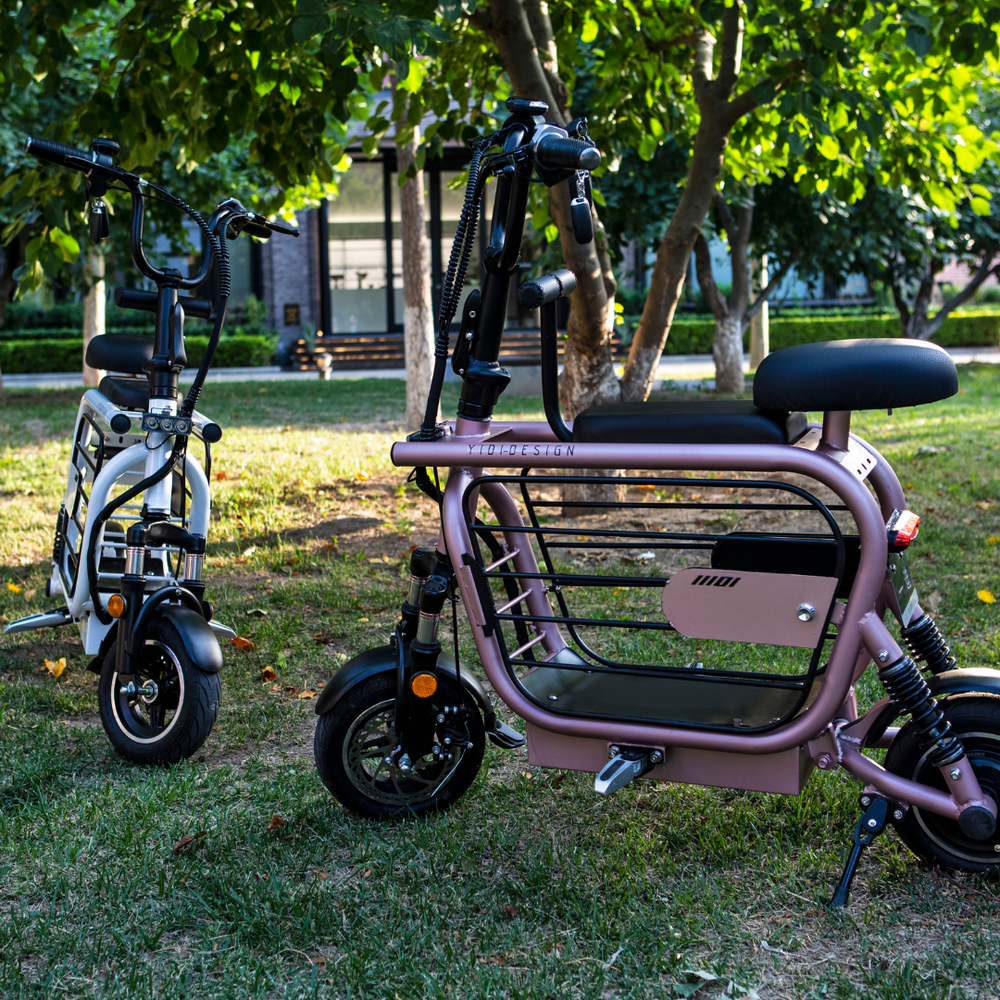 Mopet Two Wheel Pet Carrier Mobility Scooter - Home Rehab Equipment