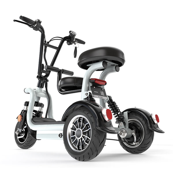 Three Wheel Dual Seat Luxury Mobility Scooter - Home Rehab Equipment
